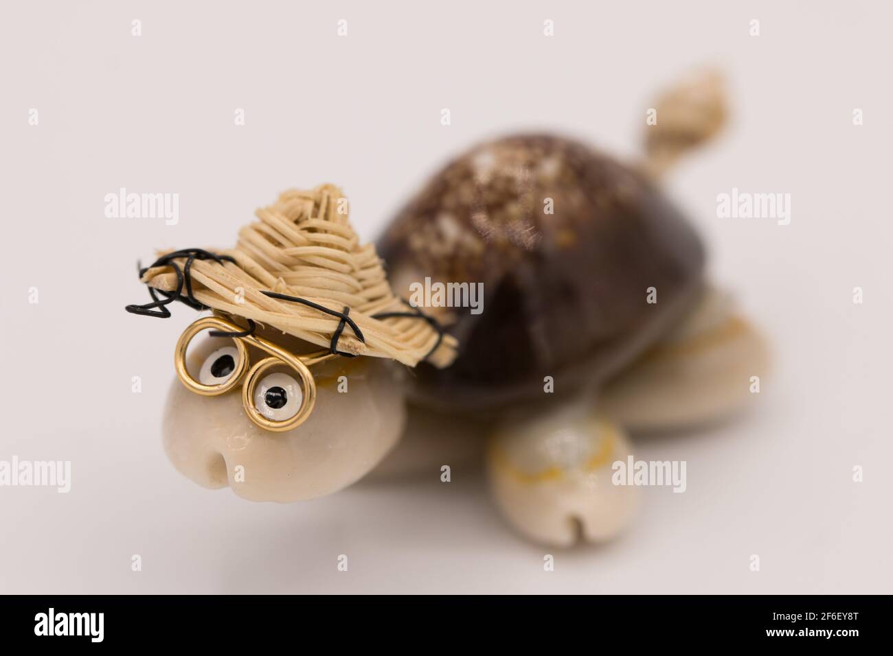 Turtle made of shells Stock Photo - Alamy