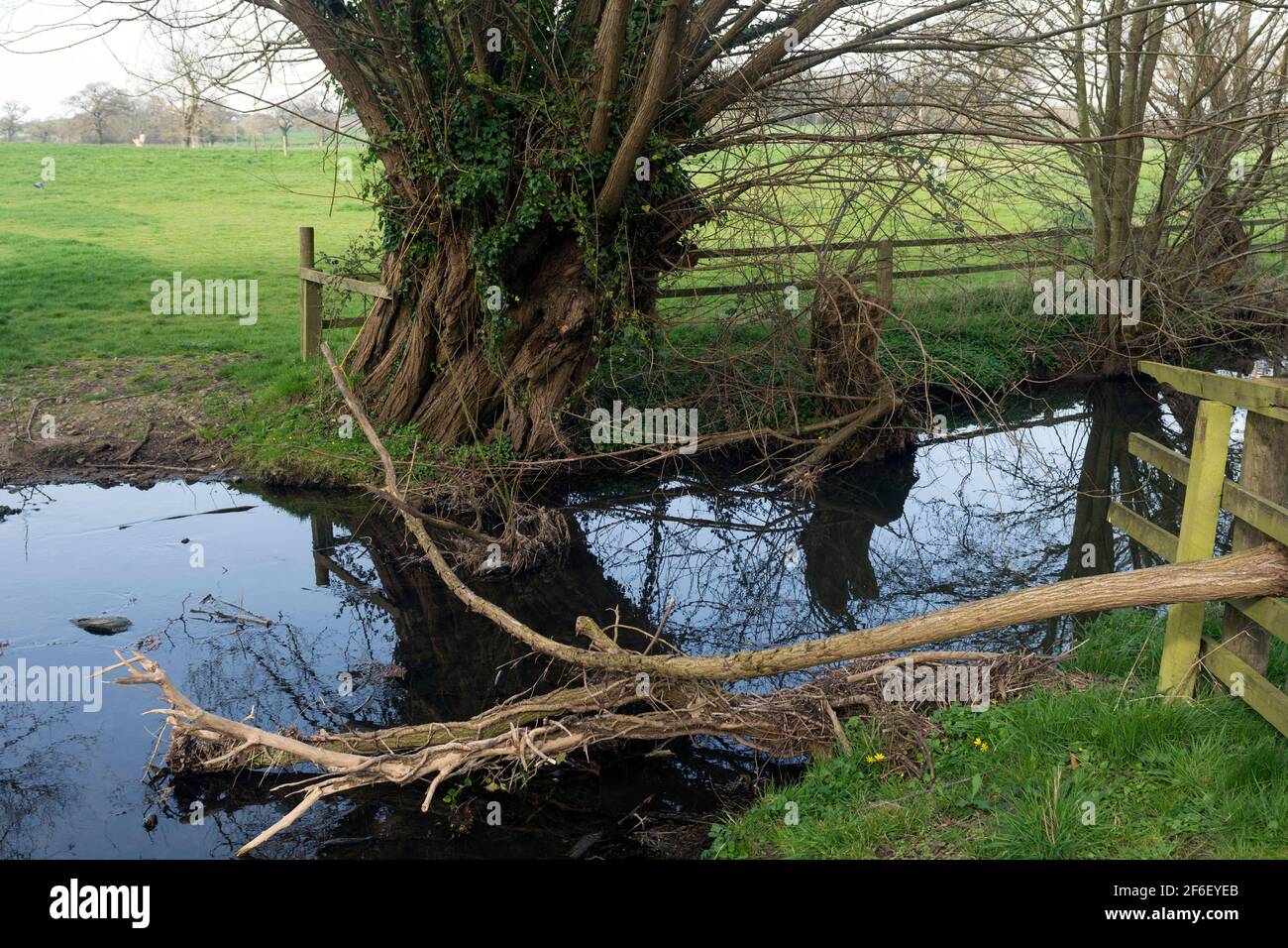 Sherbourne brook hi-res stock photography and images - Alamy