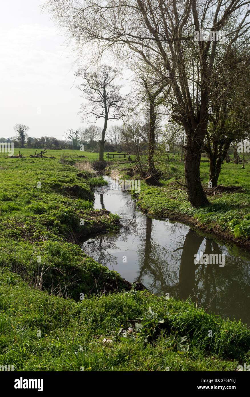 Sherbourne brook hi-res stock photography and images - Alamy