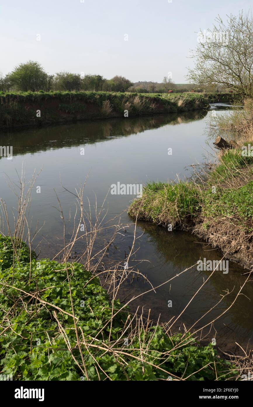 Sherbourne Brook at its confluence with the River Avon, near Sherbourne ...