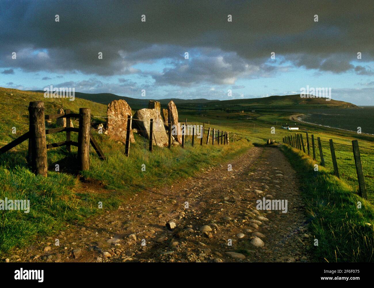 View S of the W half of Auchagallon round cairn & stone circle, Machrie ...