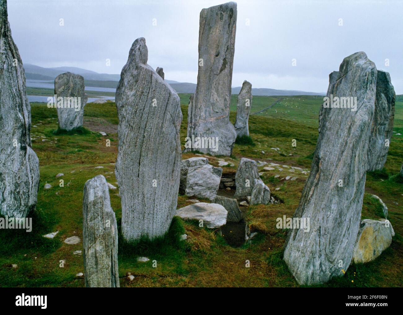 View W from the E stone row of the stone circle, central monolith ...