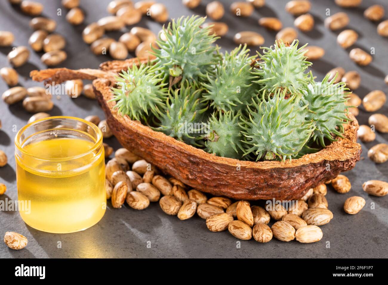 Seeds and castor oil - Ricinus communis Stock Photo - Alamy