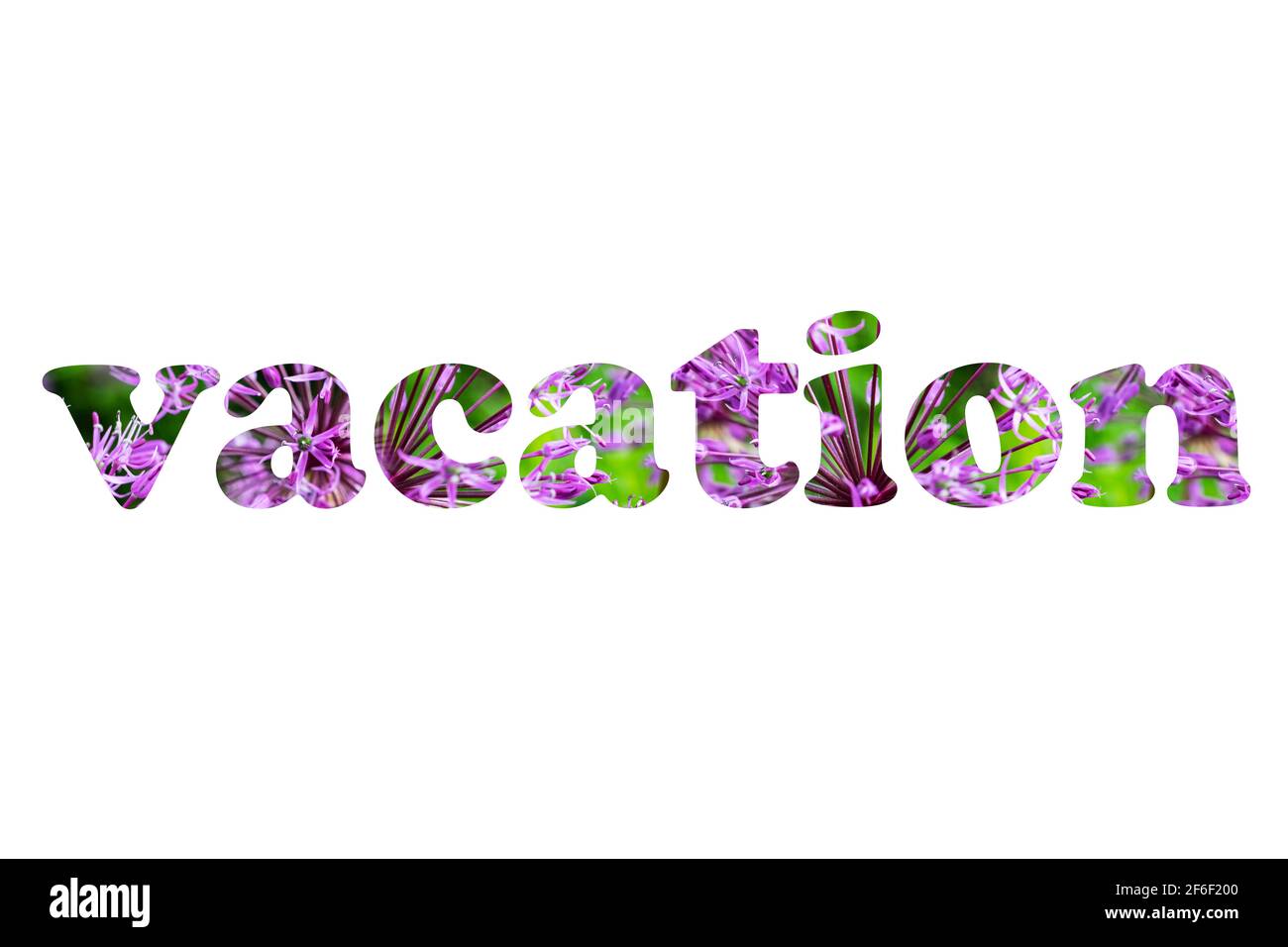 Word vacation made of pink flowers isolated on white Stock Photo - Alamy