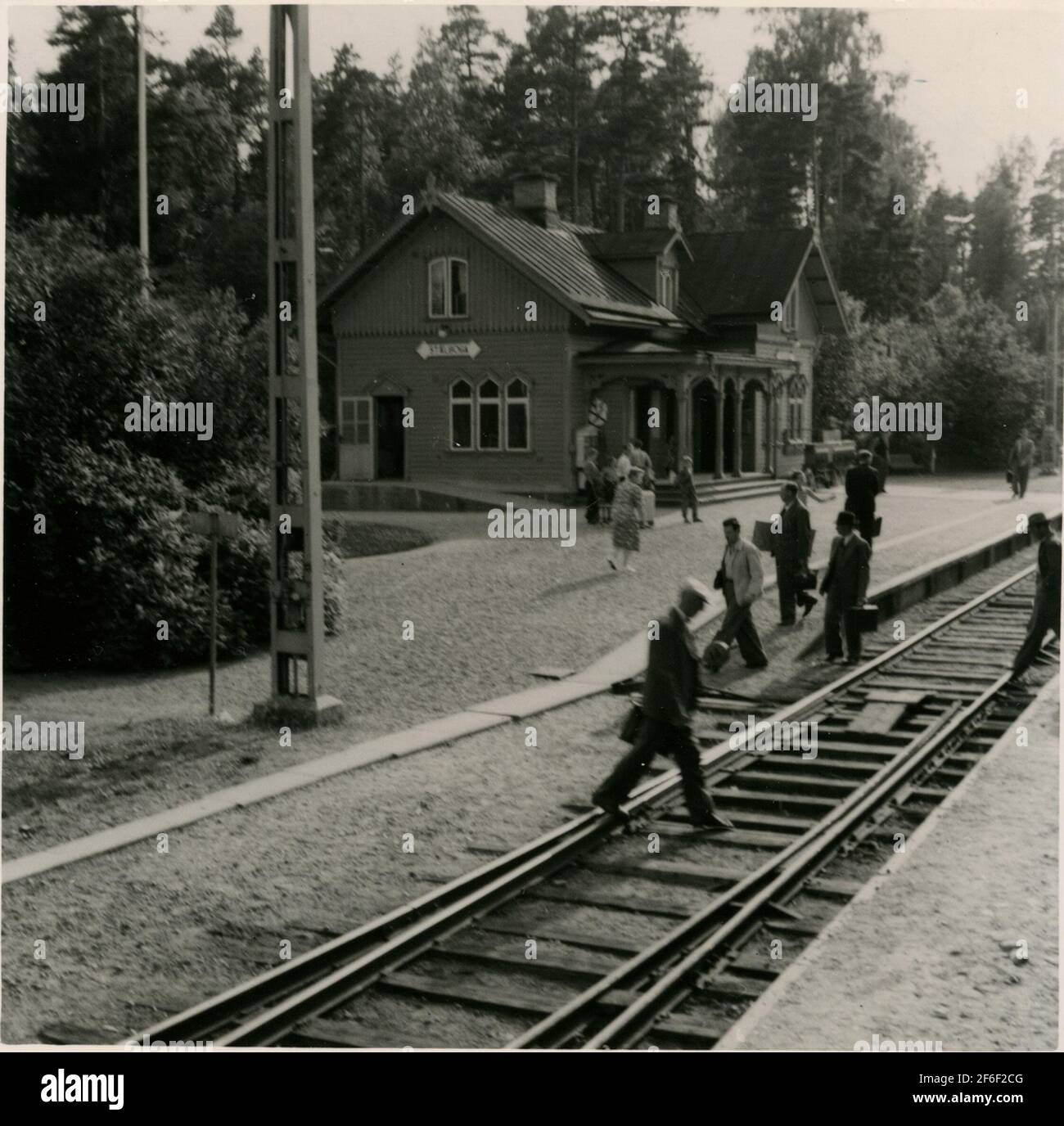 Bashes hi-res stock photography and images - Alamy