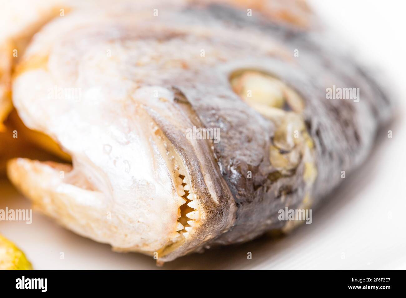Closeup of grilled seabass head with teeth. Macro. Photo can be used as ...