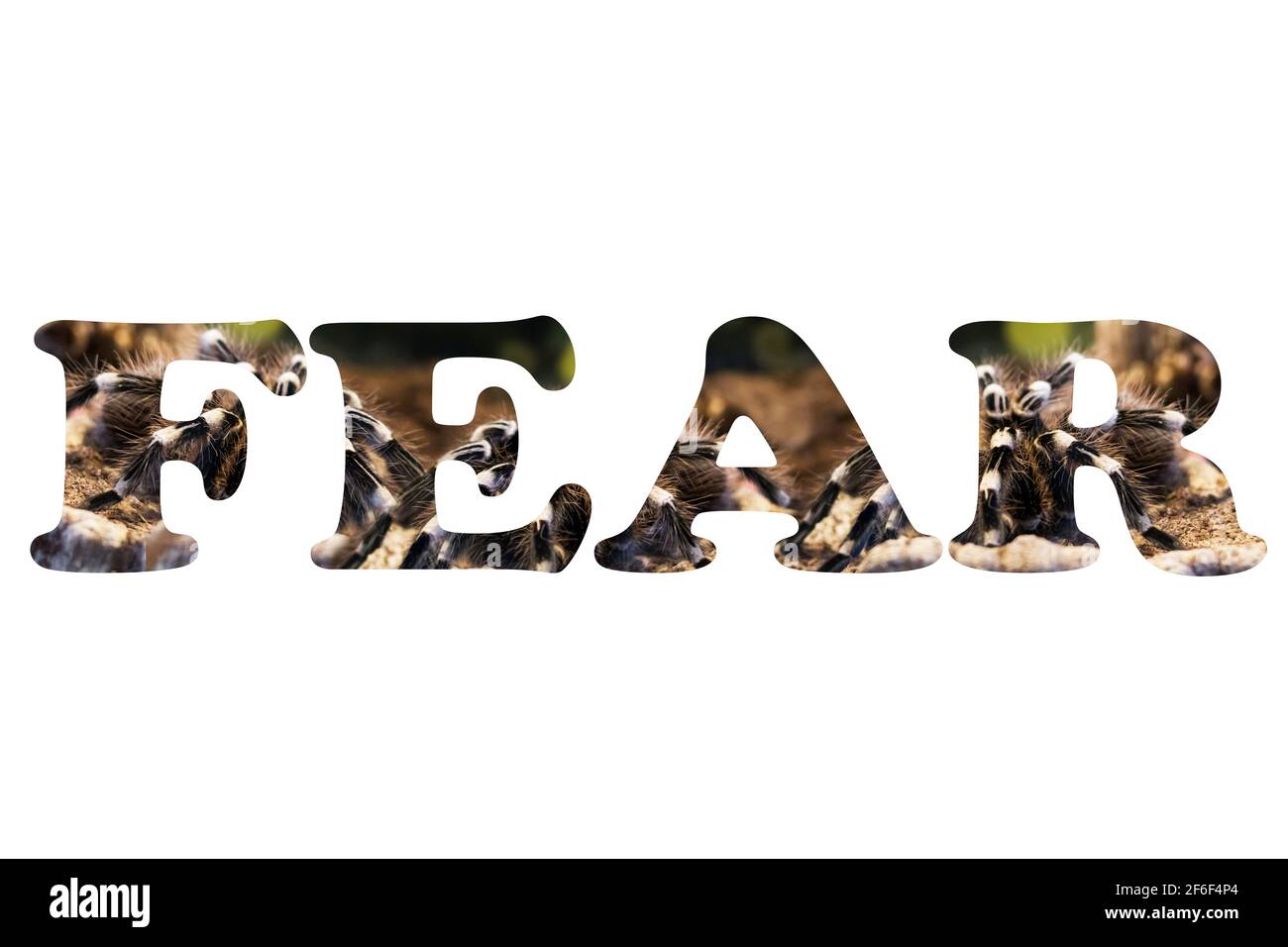 Word fear made from spiders clouds isolated on white background Stock ...