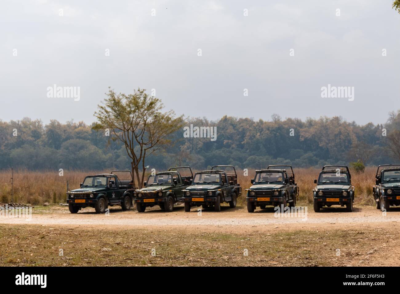 Architecture view of forest rest houses in Jim Corbett national park ...