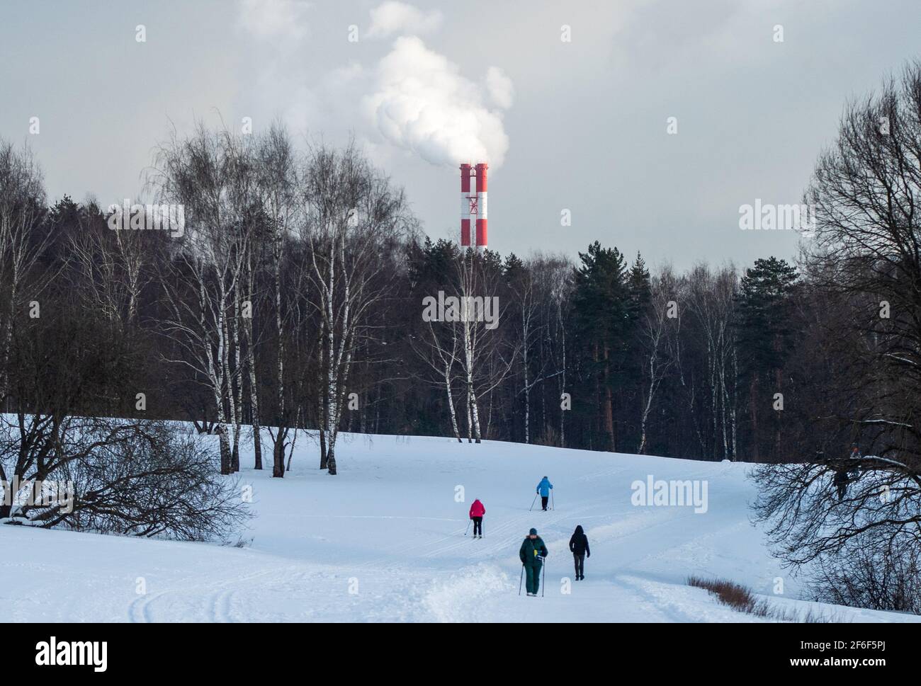 Residents go in for sports in the Bitsevsky forest park in Moscow on a ...