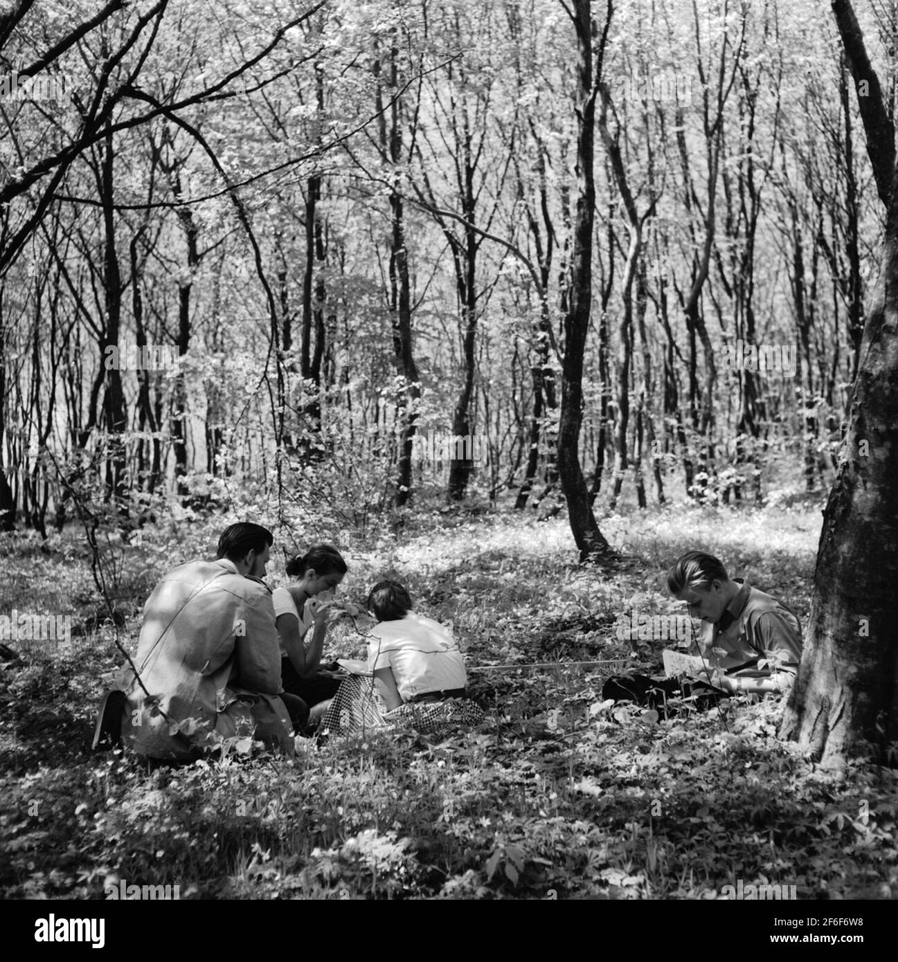 Teaching students on study trip to stone heads. (Photo in conjunction ...