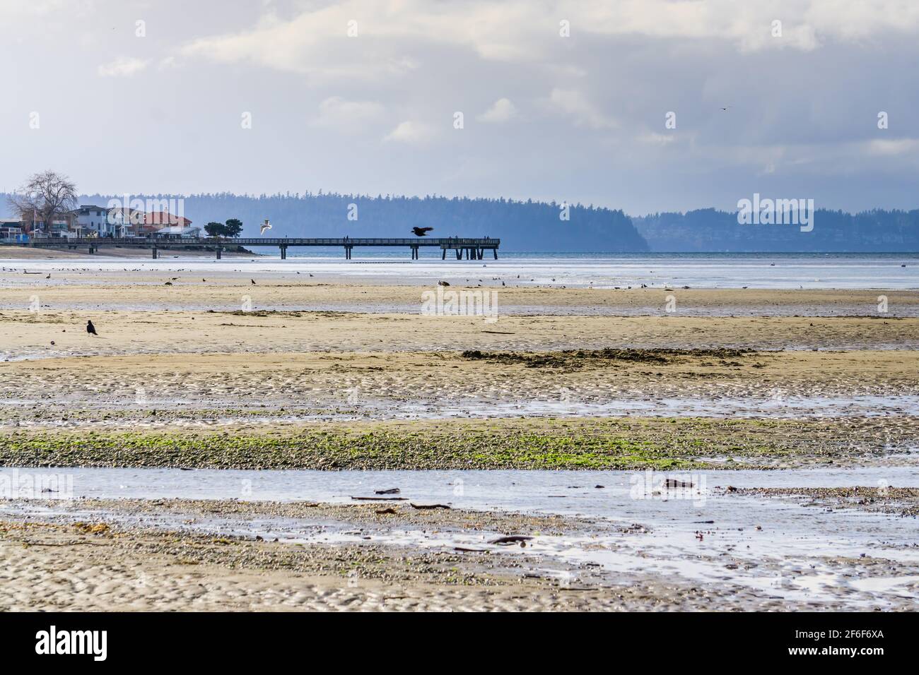 A view of the pier at Dash Point, Washington with the tide out Stock ...
