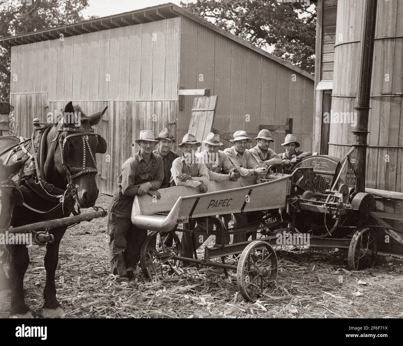 Ensilage cutter hi-res stock photography and images - Alamy