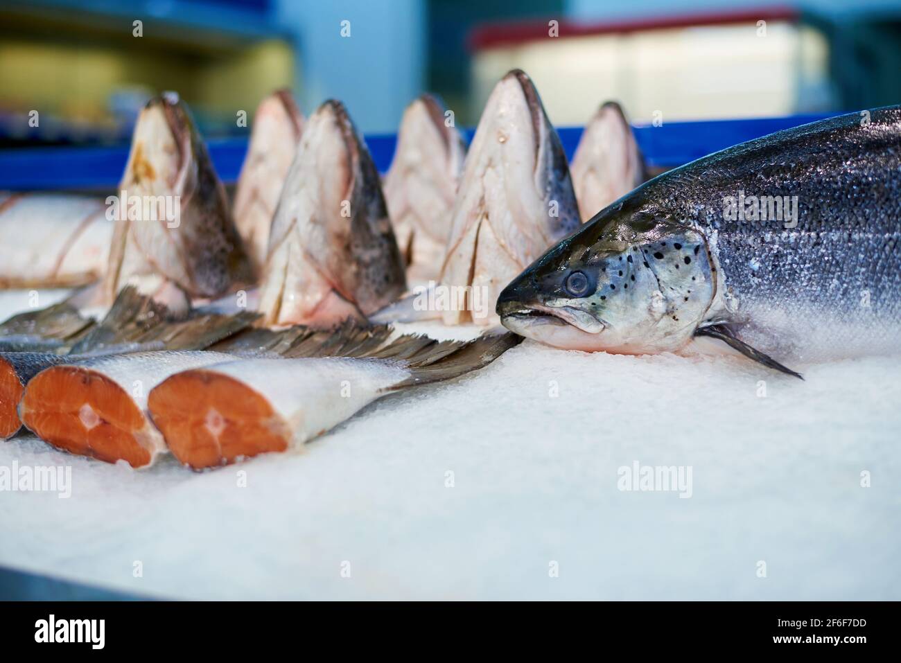 Norwegian salmon on ice in a supermarket showcase Stock Photo - Alamy