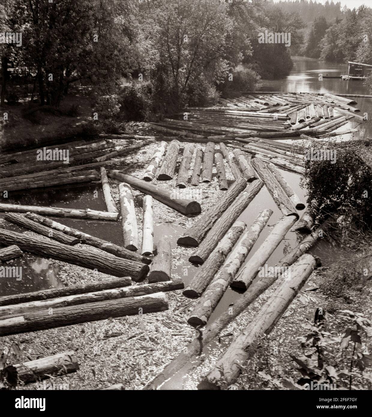 Log rafts on the Williamette River between Salem and Independence ...