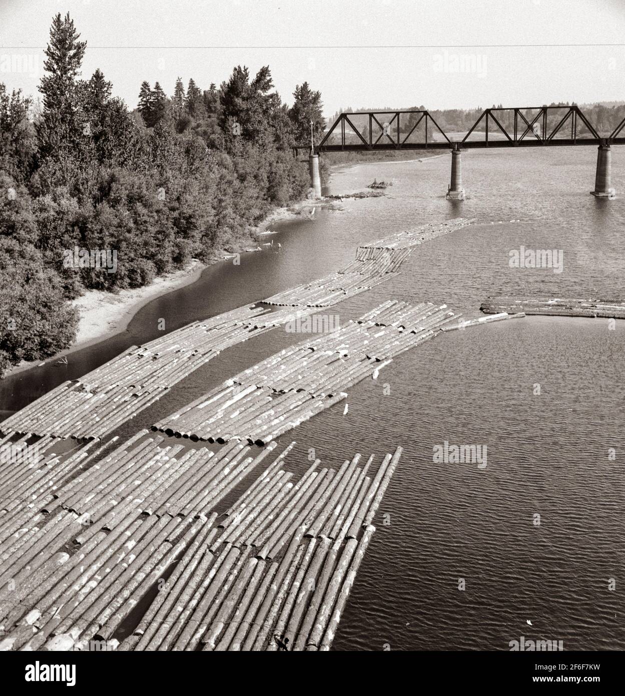 Log rafts on the Williamette River between Salem and Independence ...
