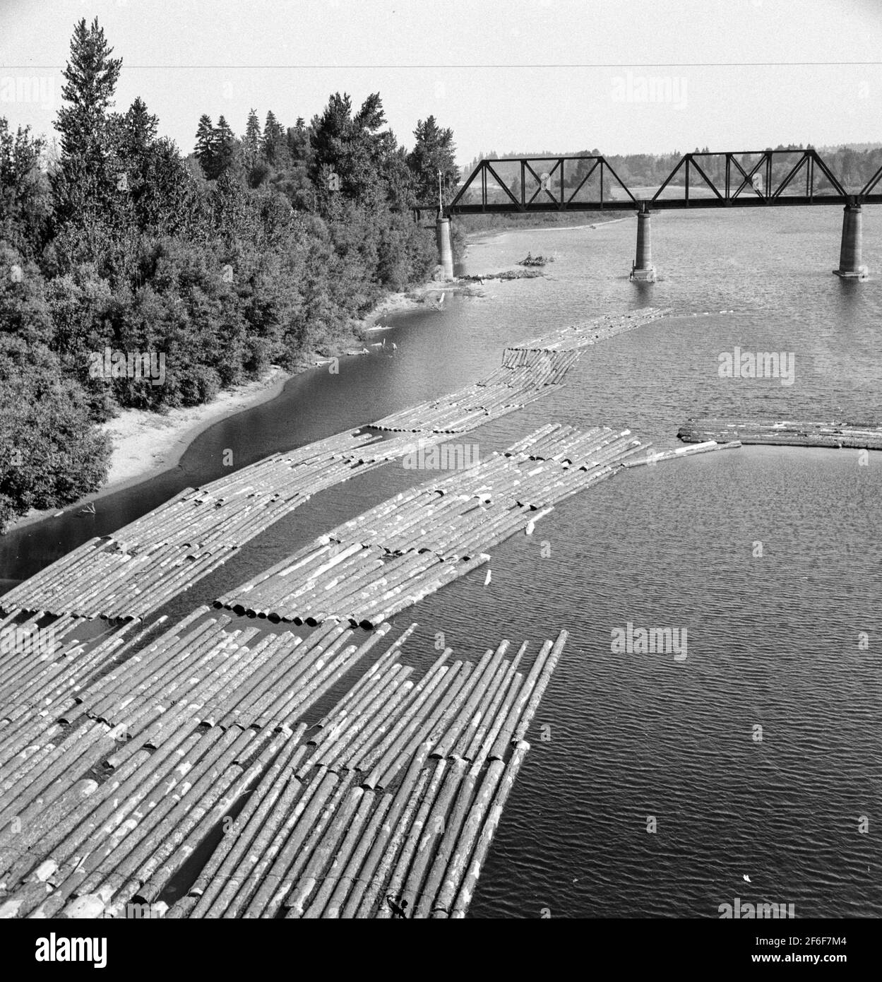 Log rafts on the Williamette River between Salem and Independence ...