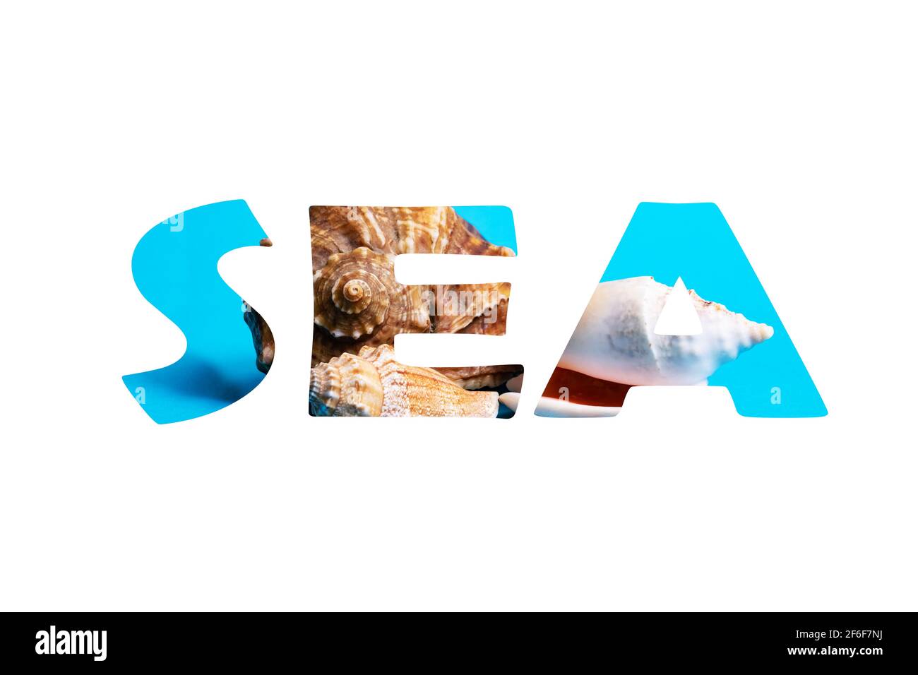 Word sea made from seashells isolated on white Stock Photo - Alamy