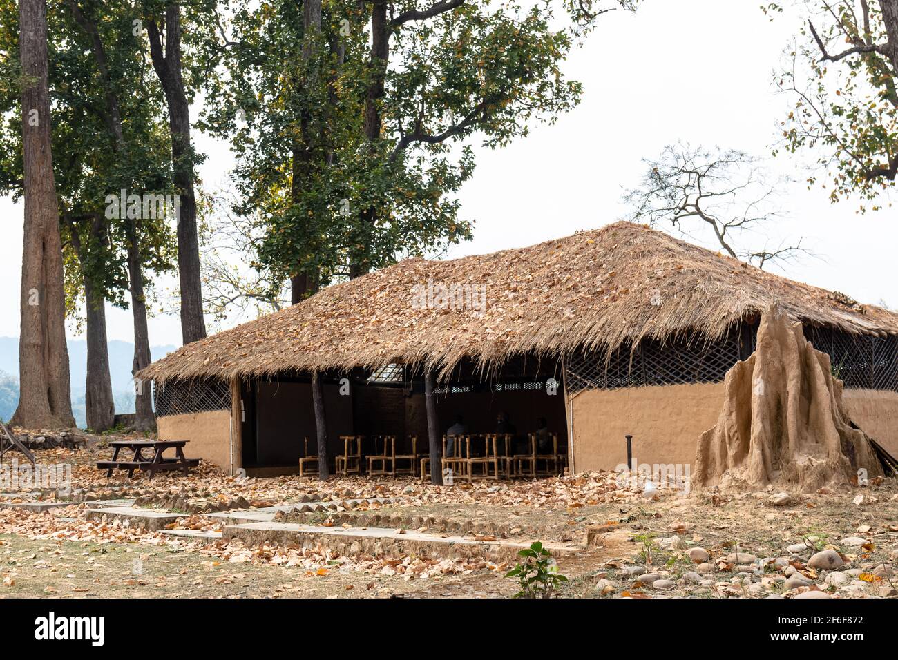 Architecture view of forest rest houses in Jim Corbett national park ...