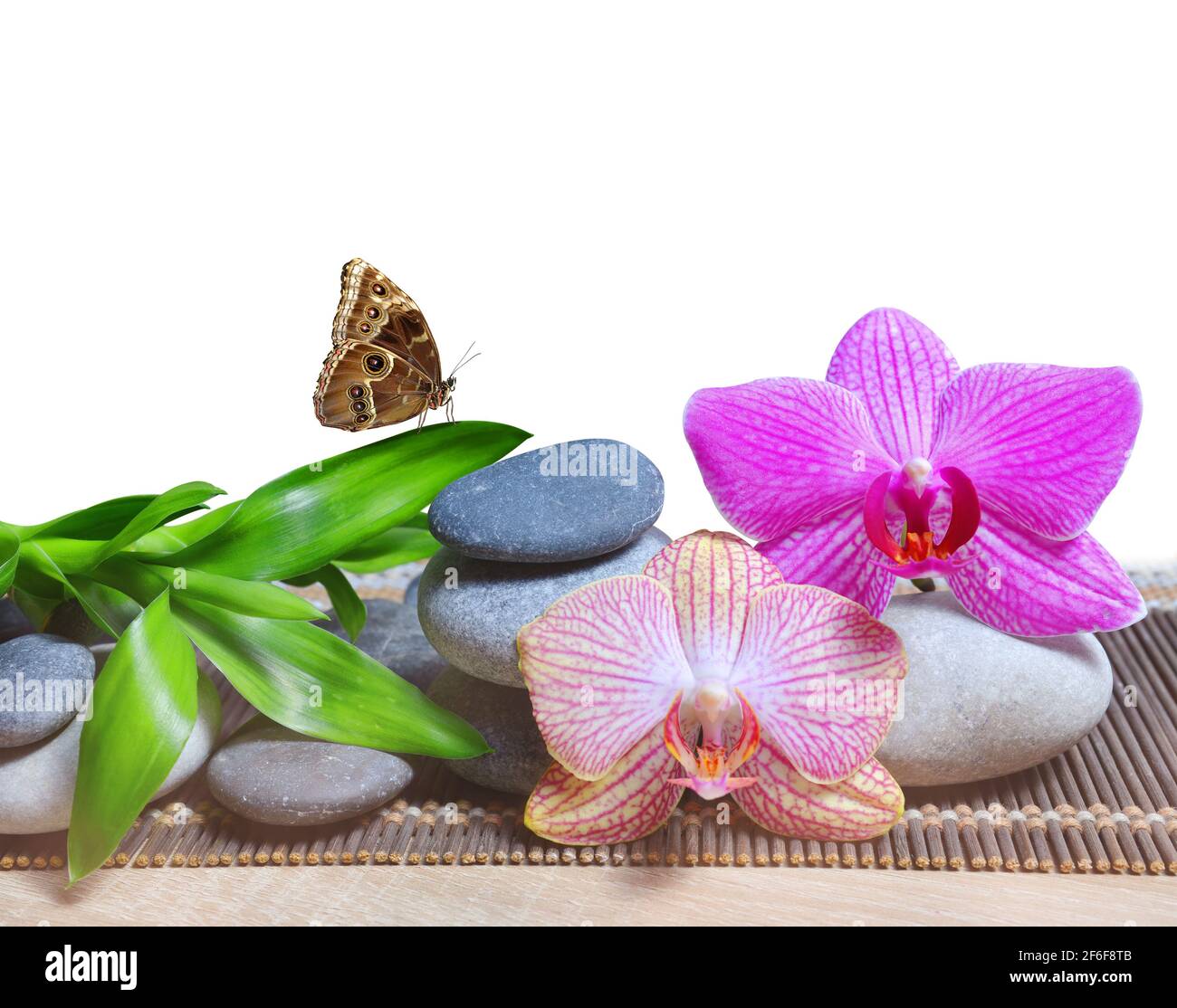 Zen pebbles with bamboo leaves and orchid flowers on white background ...