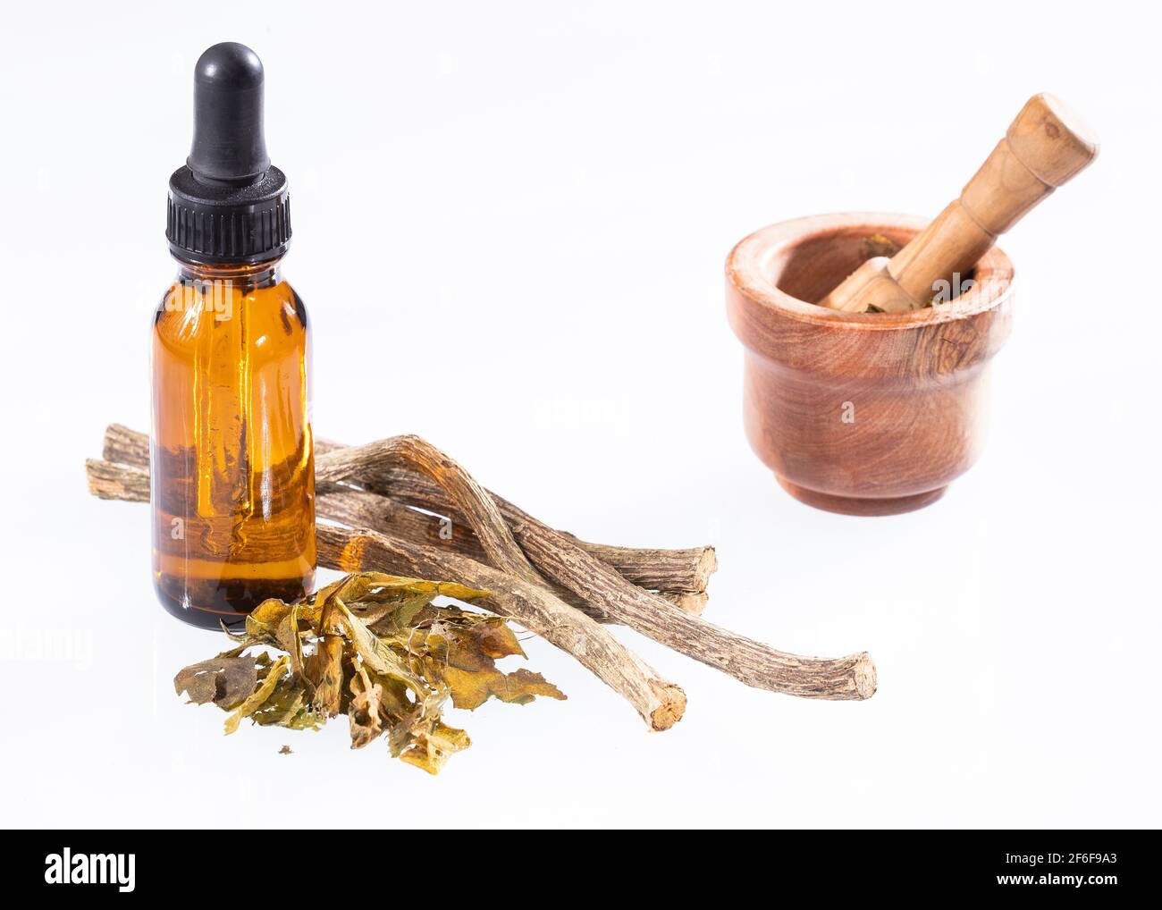 Valeriana officinalis - Valerian plant whose root contains essential ...
