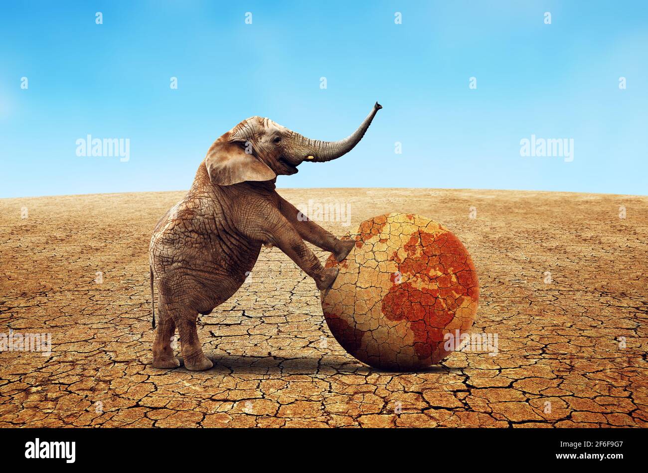 Lonely elephant with dry planet earth in parched country with cracked ...