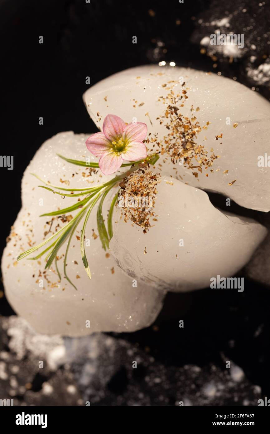 Floating ice abstract on a black background Stock Photo - Alamy
