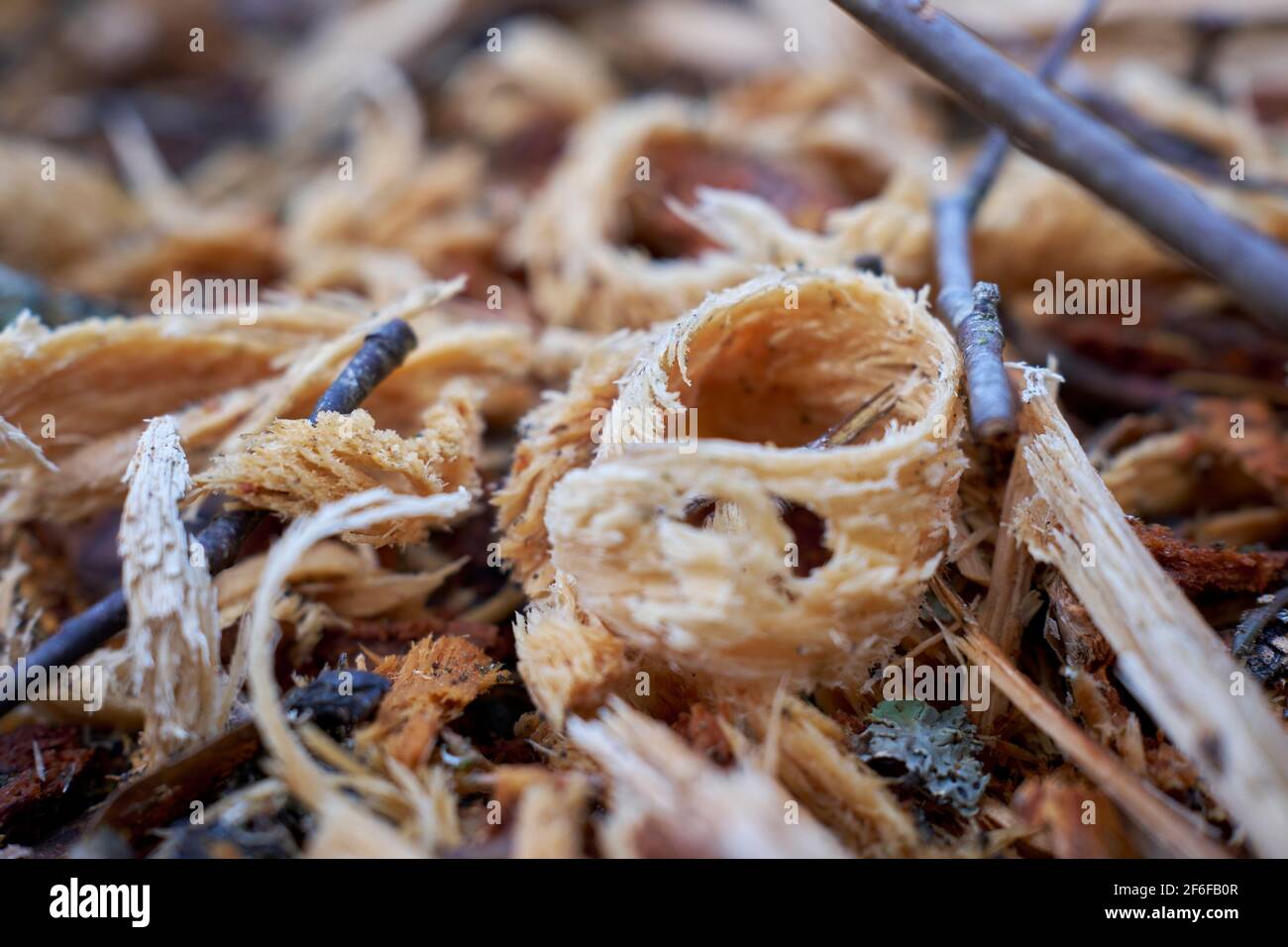 Shavings backgrounds hi-res stock photography and images - Alamy