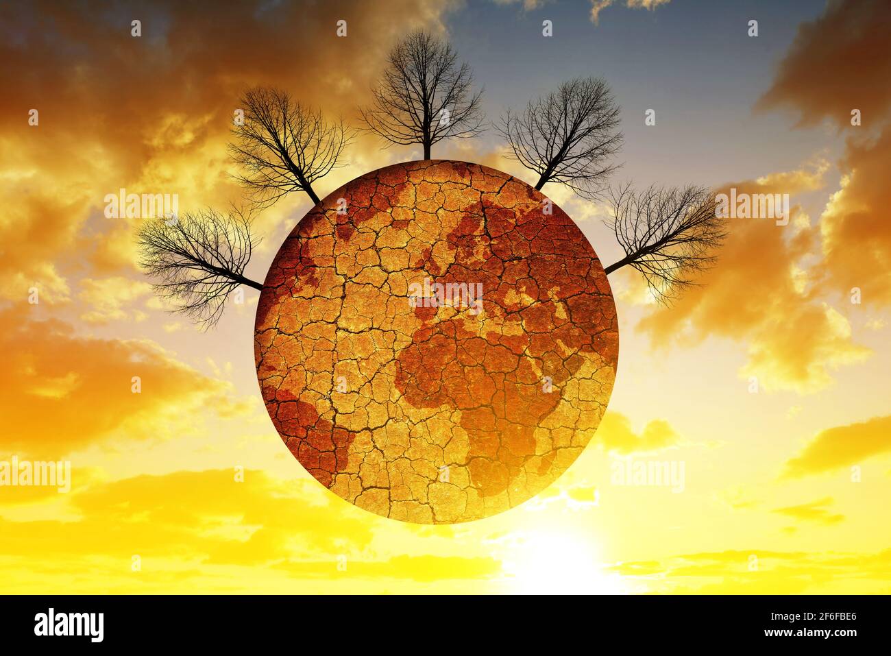 Dry planet with cracked soil and barren trees,at the background sunset ...