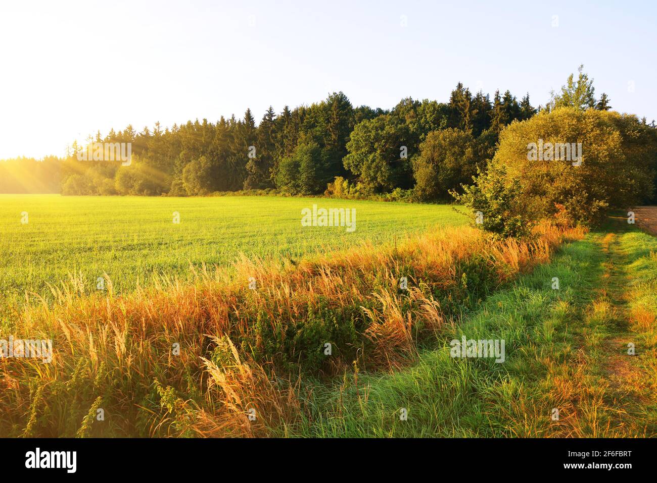 Rural scene summer hi-res stock photography and images - Alamy