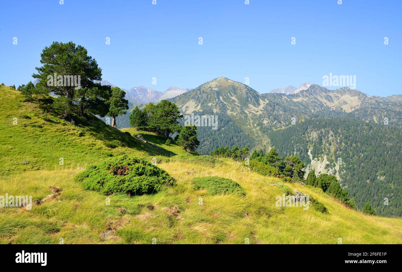 Beautiful mountain landscape in Neouvielle national nature reserve ...