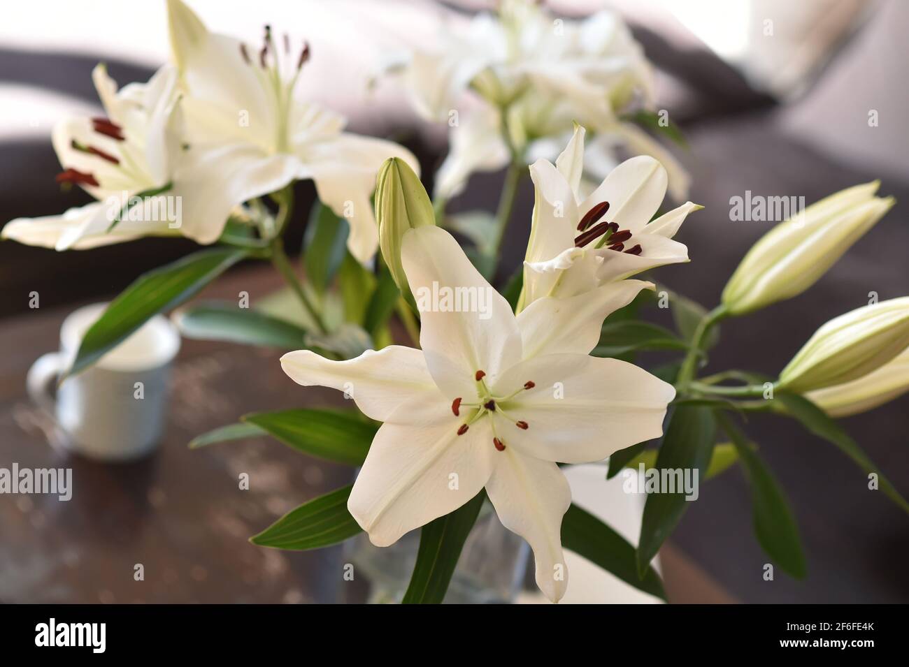 Plants and flowers Stock Photo - Alamy