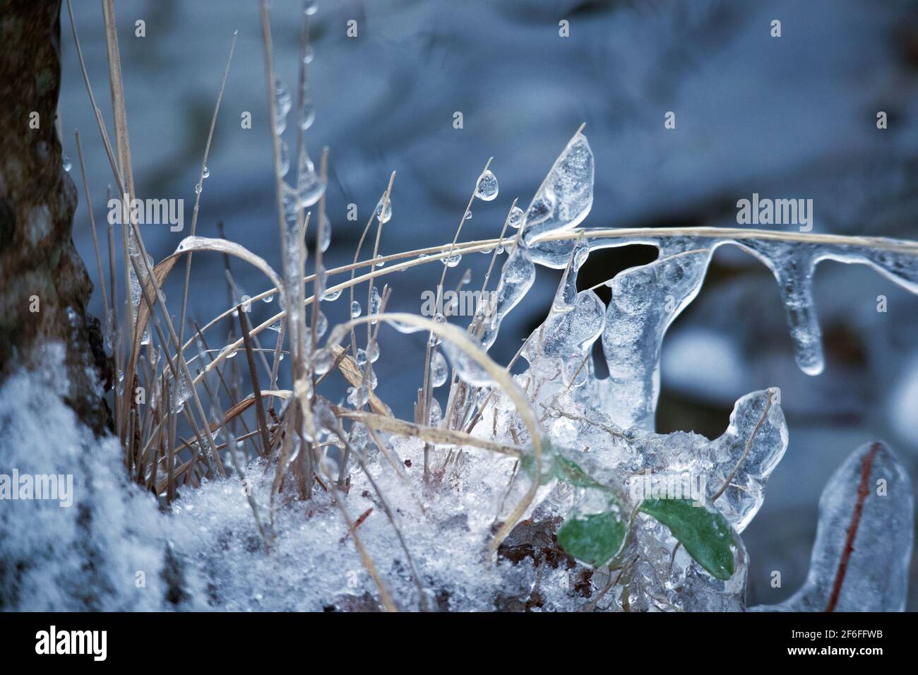 Cold colours hi-res stock photography and images - Alamy