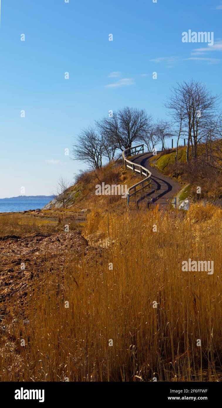 Pathway to ocean hi-res stock photography and images - Alamy