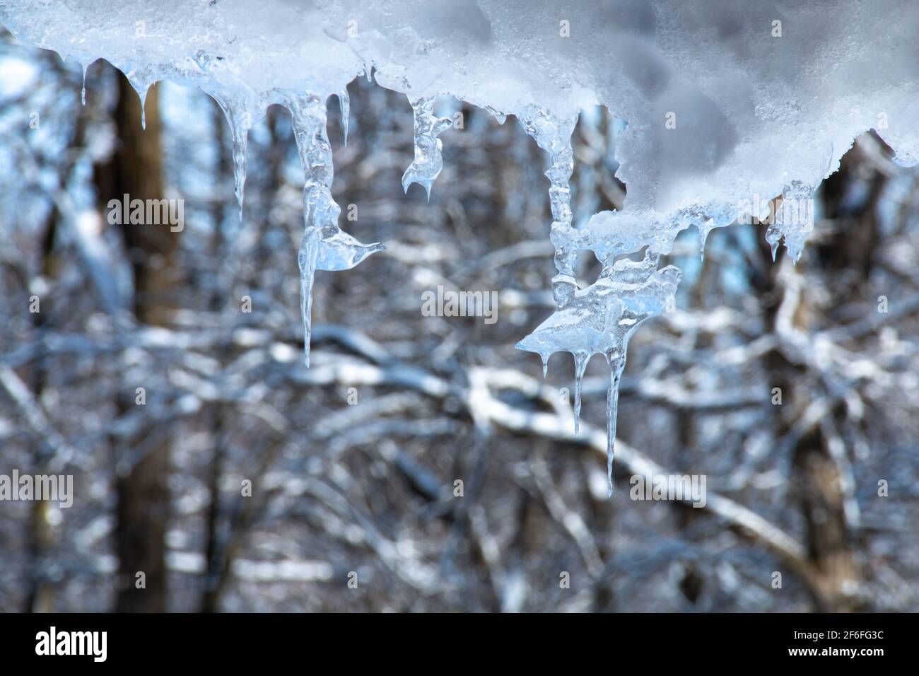 Rooftop icicles on a cold January winter's day in Southwestern Ontario ...