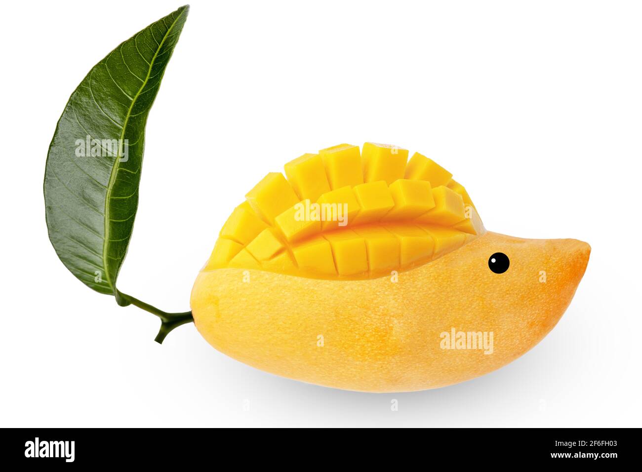 Animal collage hi-res stock photography and images - Alamy