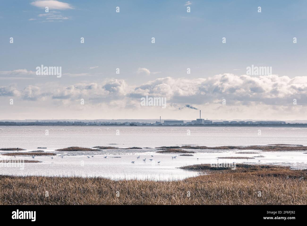 Pegwell Bay Nature Reserve, Cliffsend, Kent, Thanet, UK. With view to ...