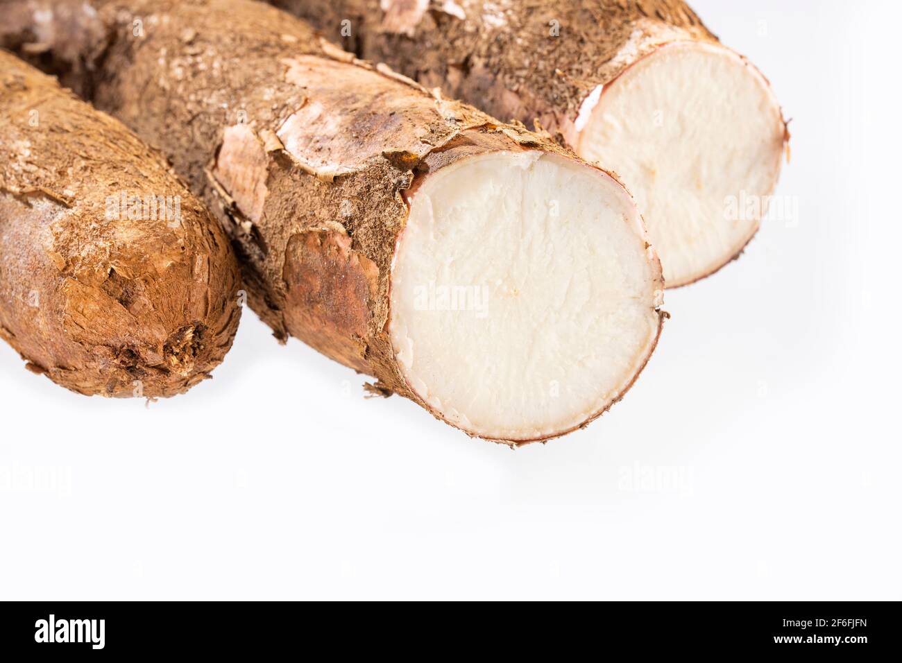 Cassava raw tuber - Manihot esculenta Stock Photo - Alamy