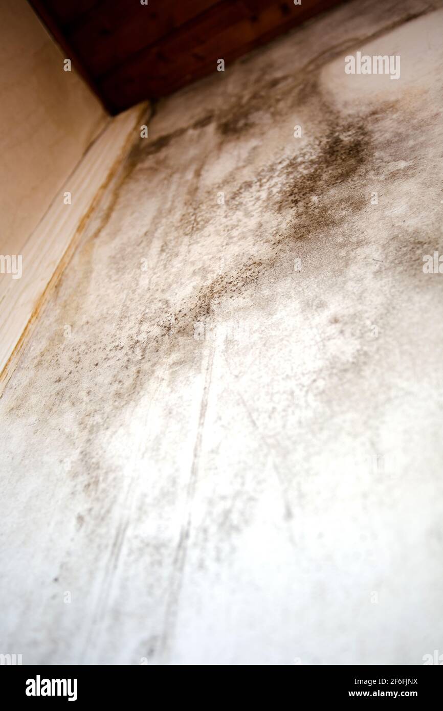 Black Mold House High Resolution Stock Photography and Images - Alamy