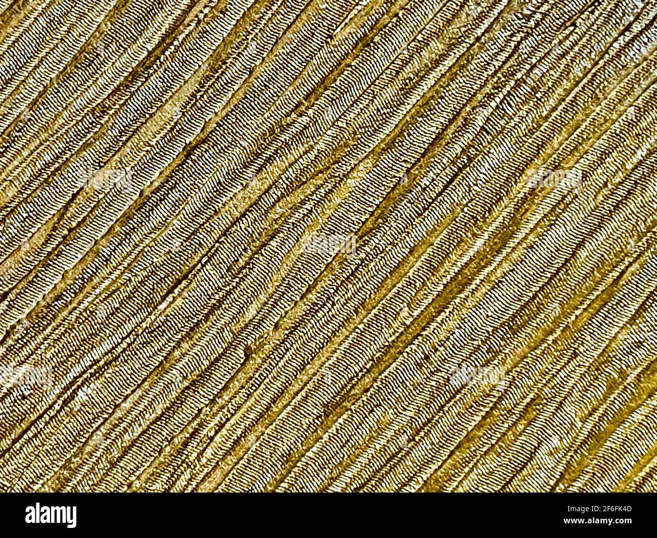Gold material hi-res stock photography and images - Alamy