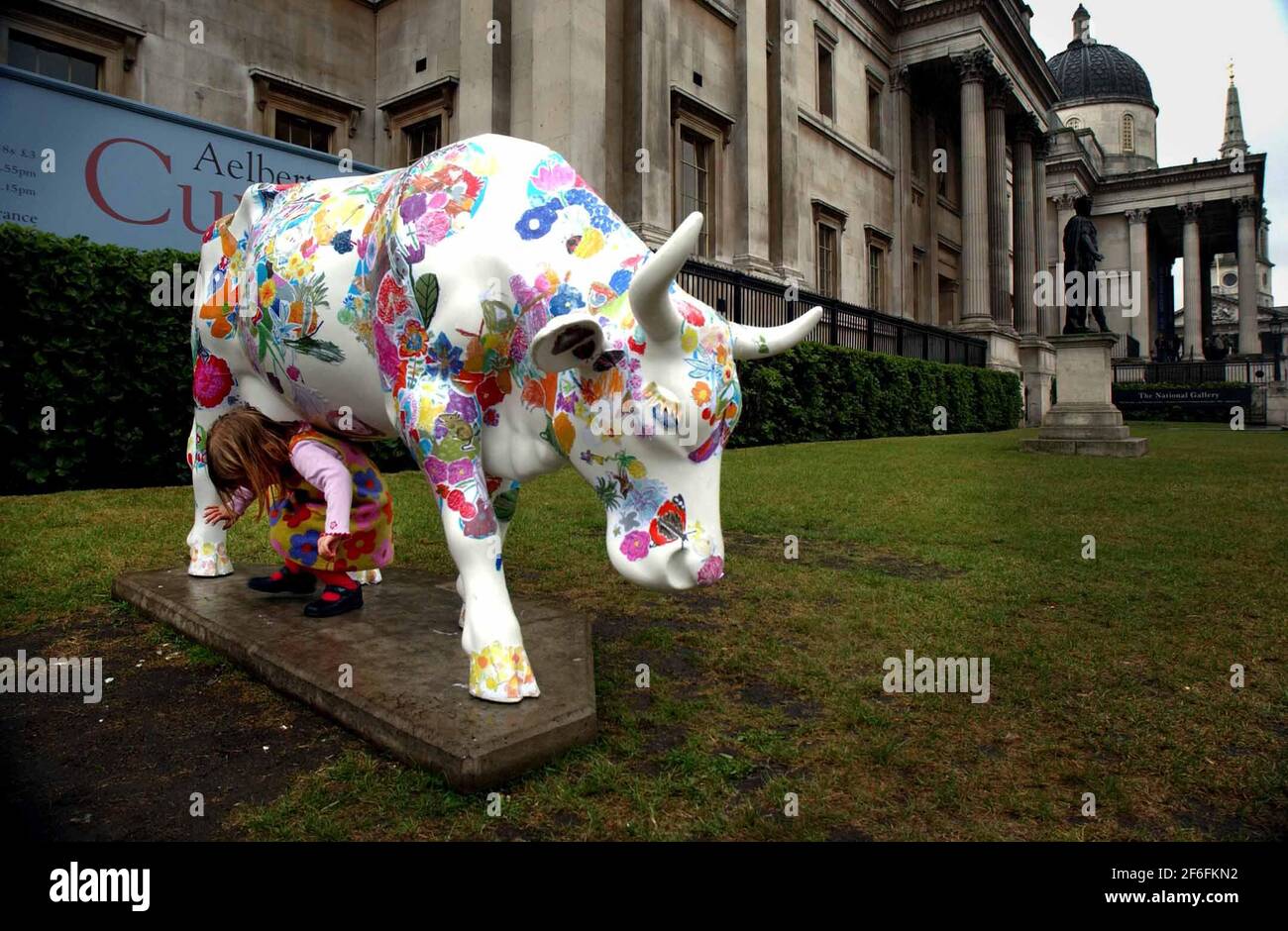 Daisy the cow hi-res stock photography and images - Alamy
