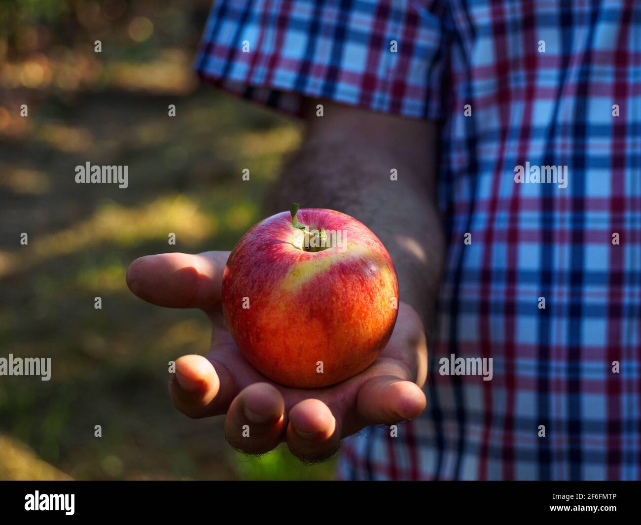Farmers grip hi-res stock photography and images - Alamy