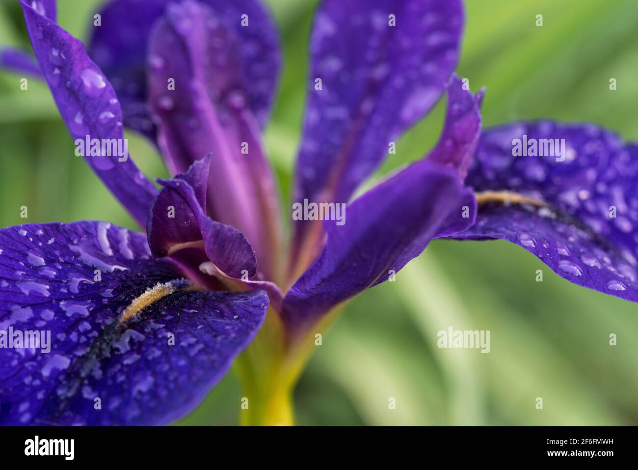 Focus point on left side of frame Stock Photo - Alamy