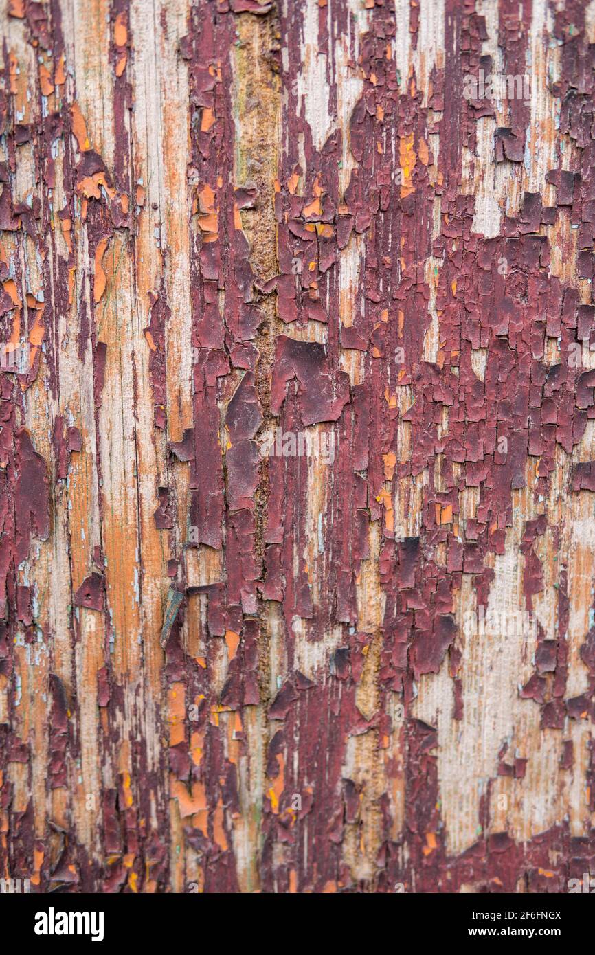 detailed macro photo of old paint dropping of from wall Stock Photo - Alamy