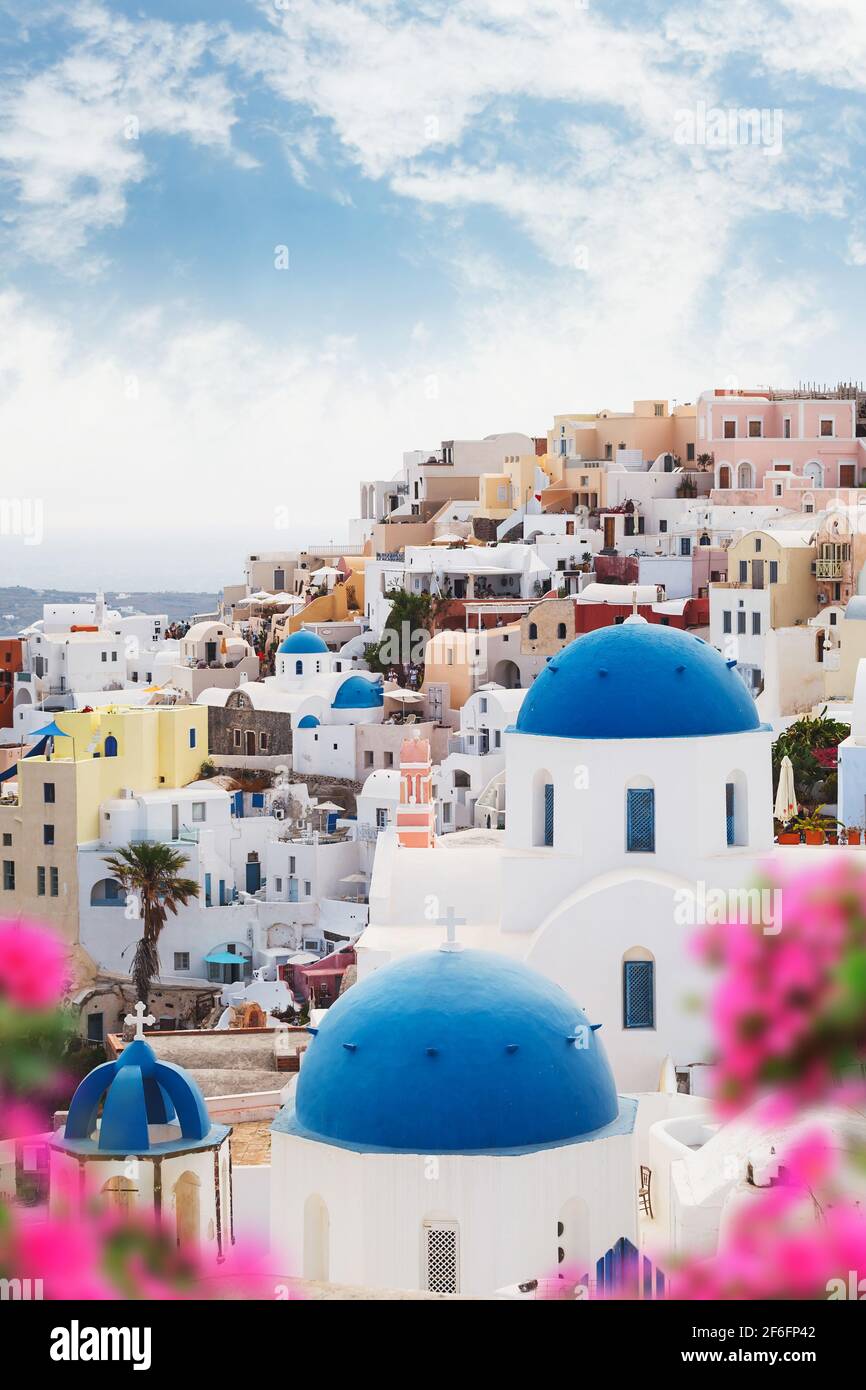 Santorini Blue domes with flowers in foreground. Greek orthodox church ...