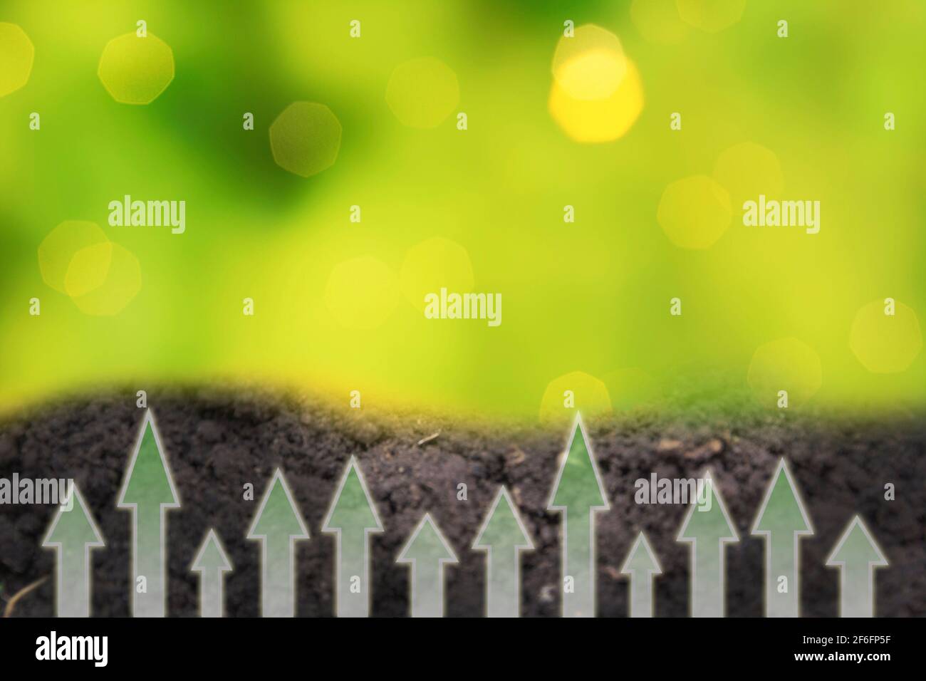 Loam soil hi-res stock photography and images - Alamy