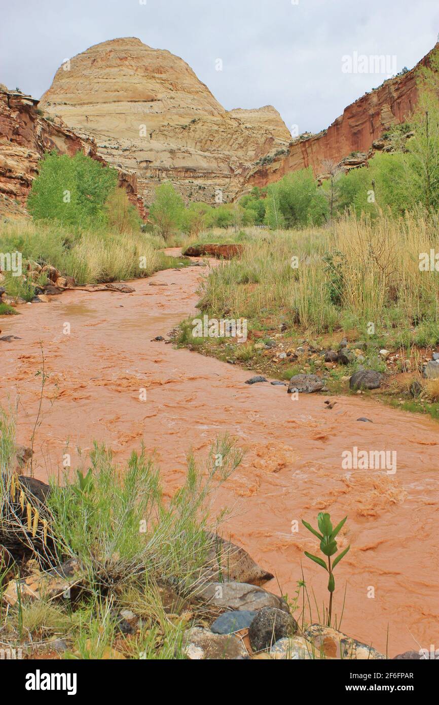 Flash flood in the desert Stock Photo - Alamy