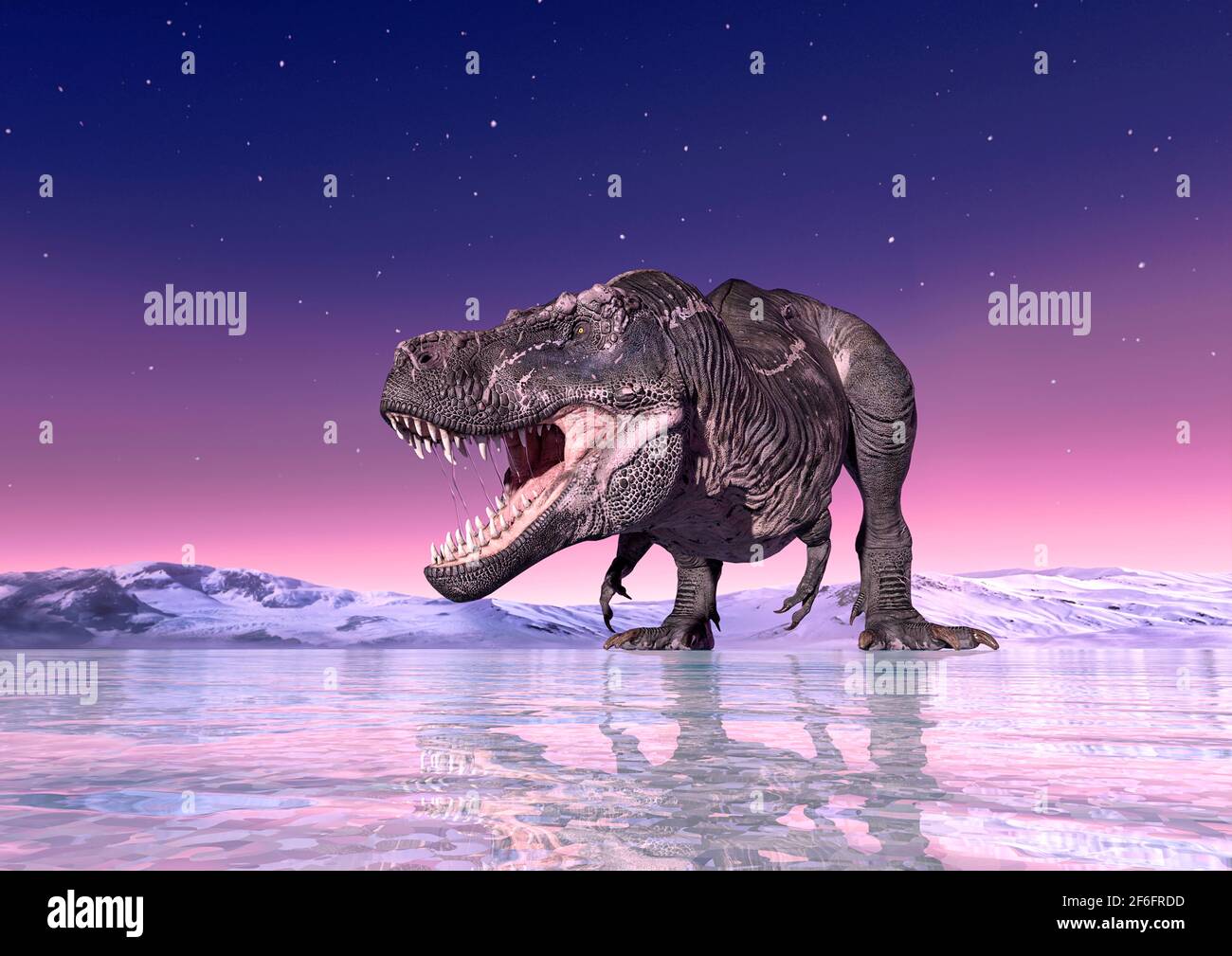 tyrannosaurus rex is ready to attack on ice age, 3d illustration Stock ...