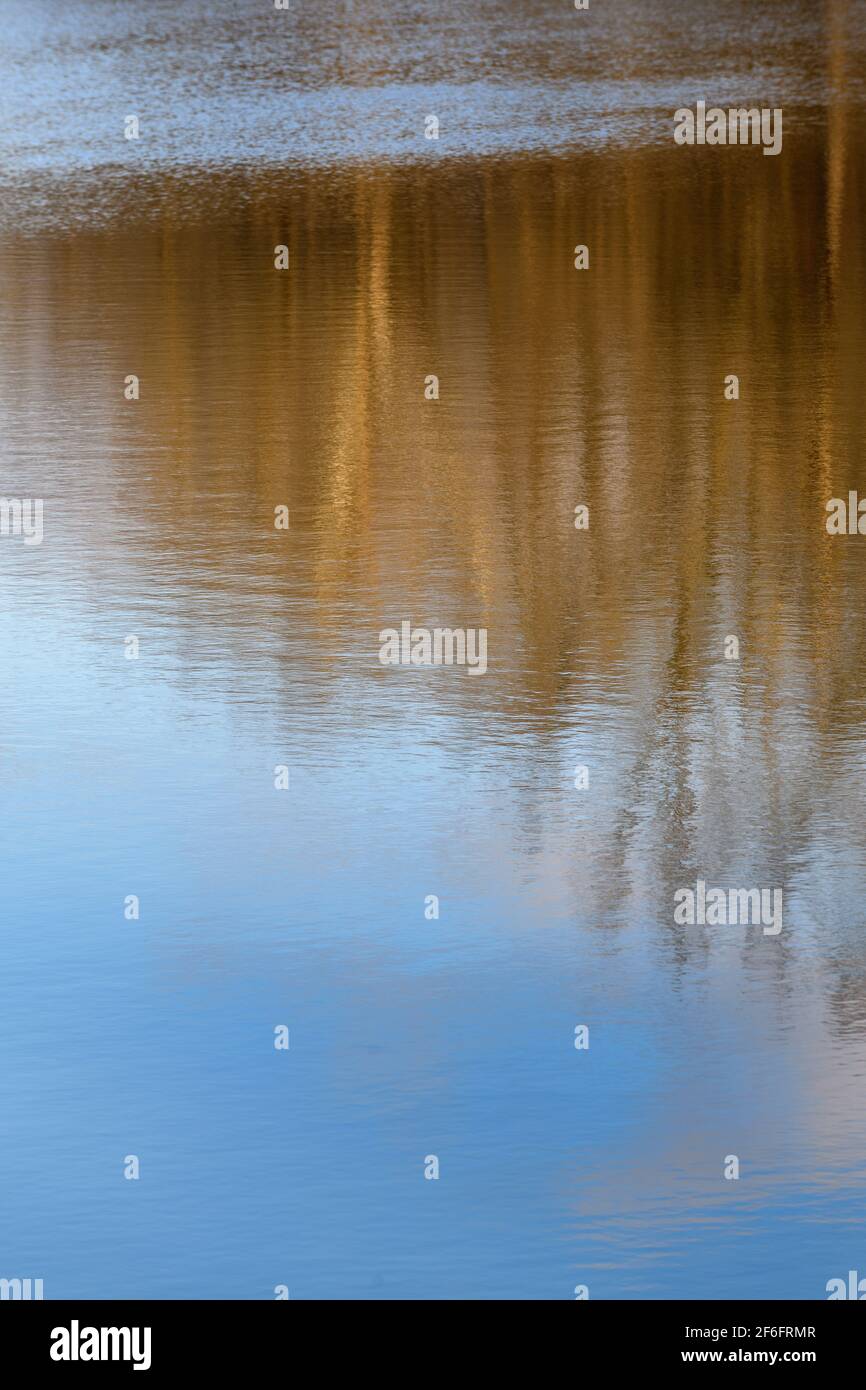 Tree reflections in water Stock Photo - Alamy