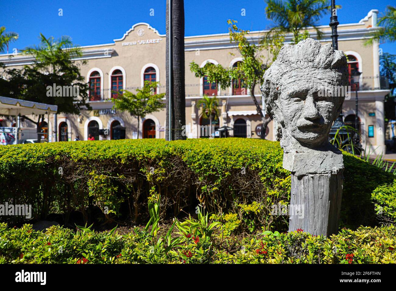 Albert Einstein, stone bust in the plaza in Mazatlan, Sinaloa. Machado ...