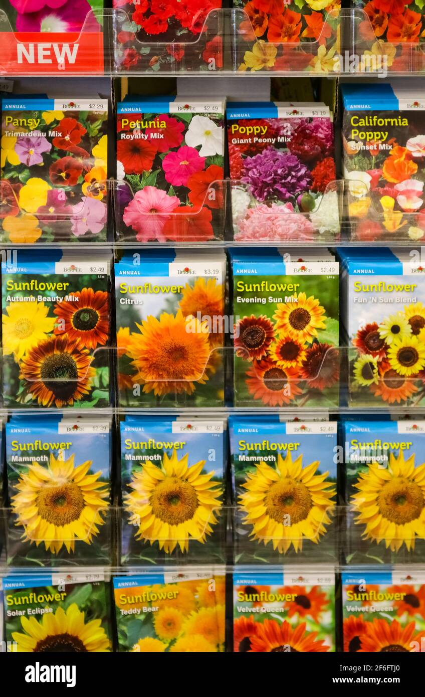 Burpee seed packets hi-res stock photography and images - Alamy